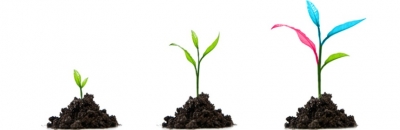 Business Development - Lyrus Life Sciences